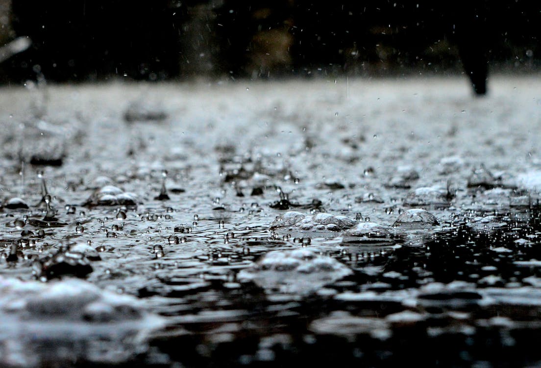 A Drip in the Dark – REED HARTMAN